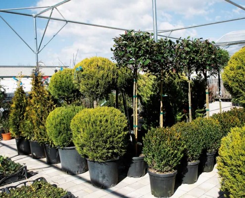 RASADNIK | Vrtni Centar Viškovo